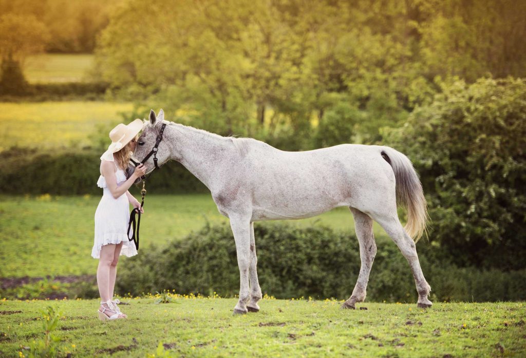 Randjesfontein Country Estate – Randjesfontein Equestrian Estate