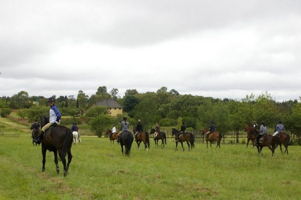 Randjesfontein Country Estate – Randjesfontein Equestrian Estate